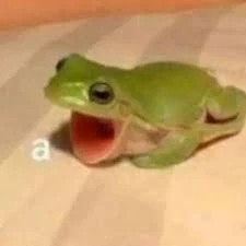 Phrög | Frog Wiki | Fandom