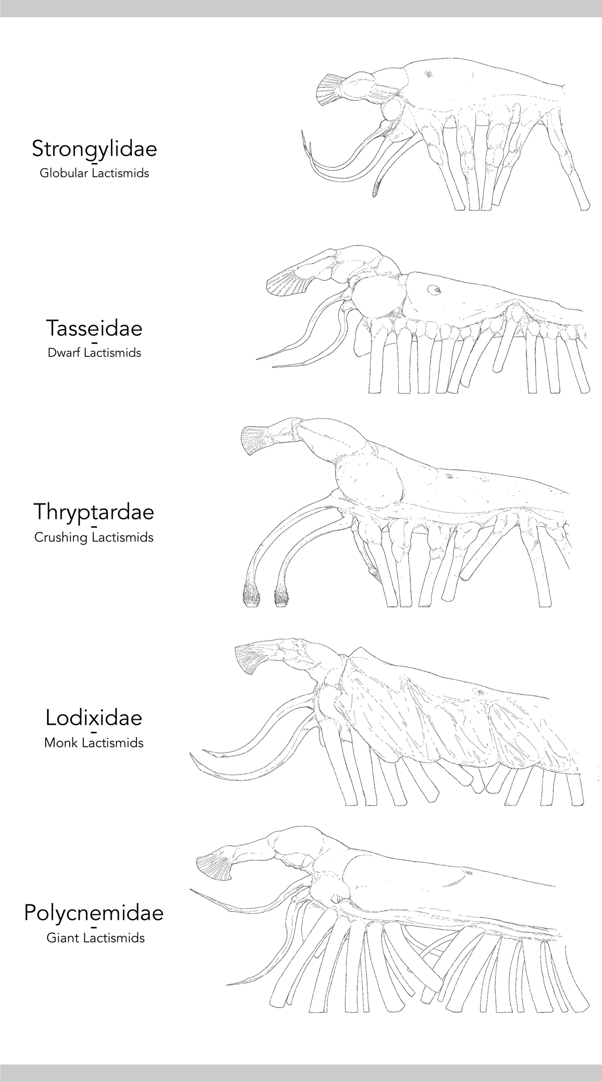 Lactismids | Phtanum B Wiki | Fandom
