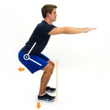 Squats | Physio Wiki | Fandom