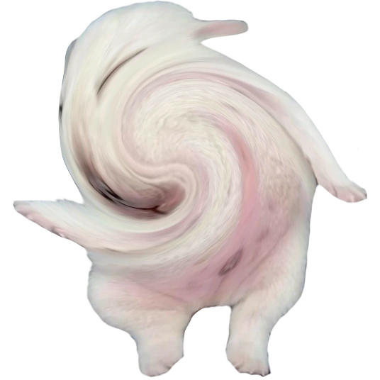 Spinnles | Pibble Verse Wiki | Fandom