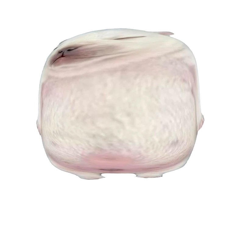 Shapibbles | Pibble Verse Wiki | Fandom