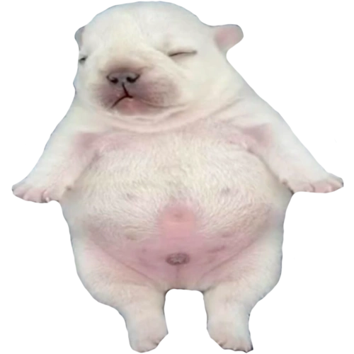 Discuss Everything About Pibble Verse Wiki | Fandom