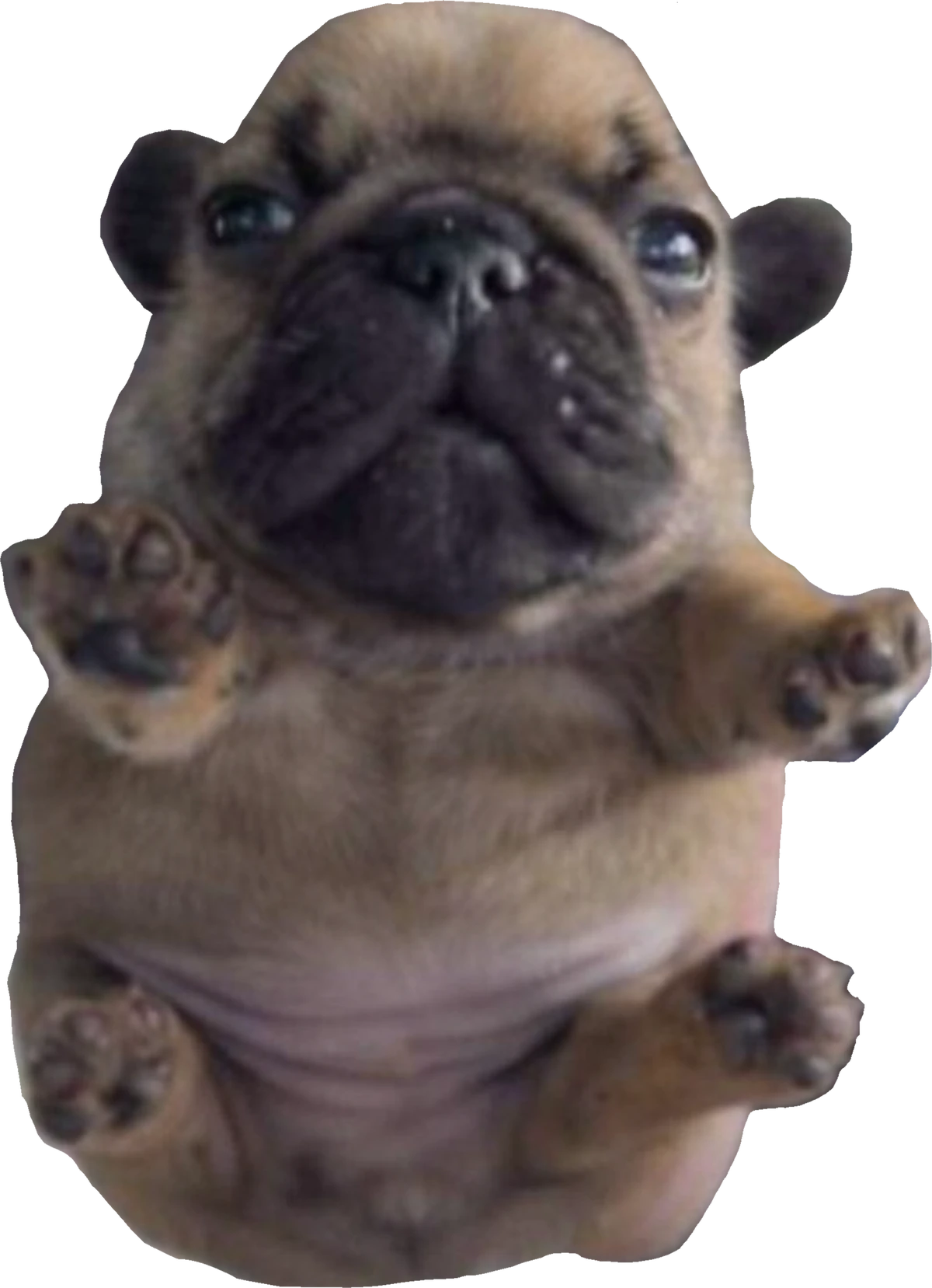 Handheld Pibble | Pibble Verse Wiki | Fandom