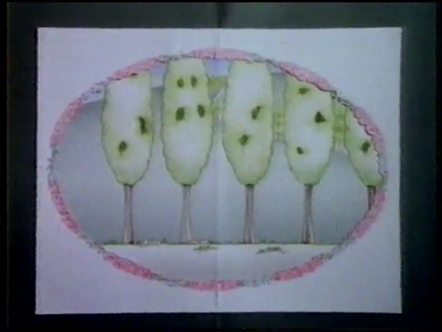 Ride a Cock Horse | Pickwick Video Wiki | Fandom