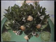 Nursery Rhymes (1982) | Pickwick Video Wiki | Fandom