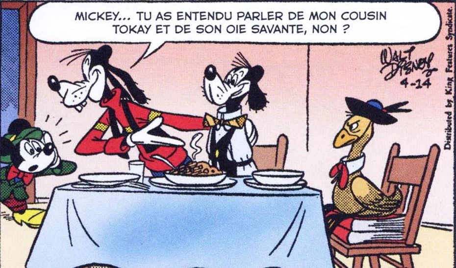 Tokay | Picsou Wiki | Fandom