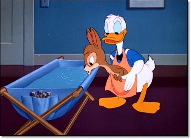 Joey Duck | Picsou Wiki | Fandom