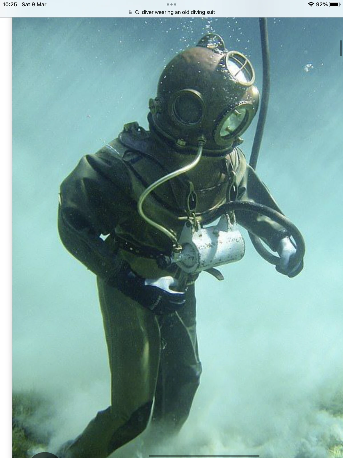 Diver | Picturetoons Wiki | Fandom