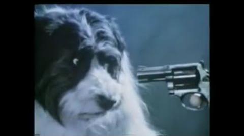 Category:Cinema PIFs | Public Information Film Wiki | Fandom