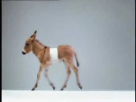 RSPCA- For All Creatures Great and Small (1988, Australia) | Public ...