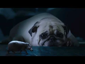 CONCERNED CHILDREN'S ADVERTISERS - House Hippo (1999, Canada) | Public ...