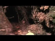 User blog:Auzzy13/Top 25 Scariest PSAs of all time | Public Information ...