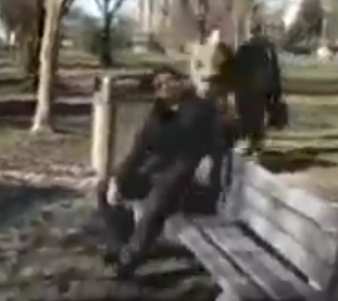 DDC - Walk | PSA/PIF Shi Wiki | Fandom