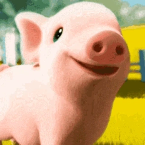 Pig | Pig Wiki | Fandom
