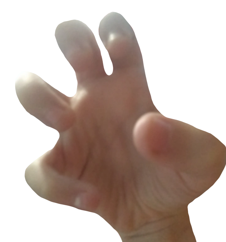 Hand See You | Piggy13 AUTTP Wiki | Fandom