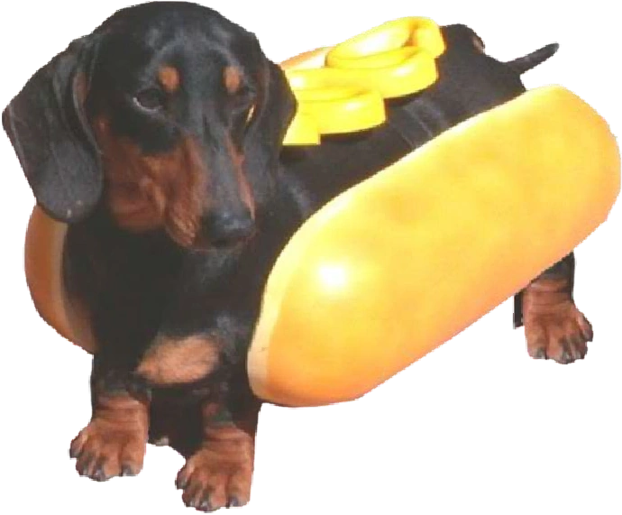 Sausage Dog | PiggyPug Wiki | Fandom