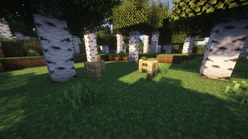 Birch Forest Ruins | Piglet Structures Wiki | Fandom