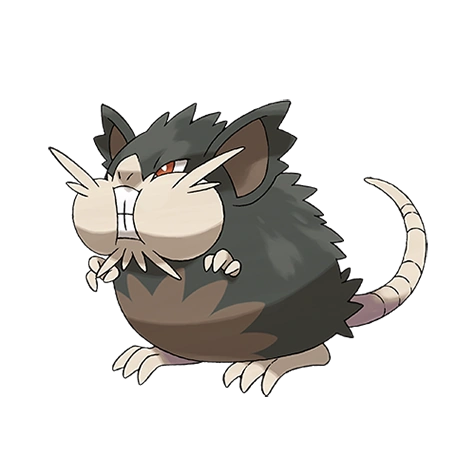 Alolan Raticate | Pikachu's Double 7 Wiki | Fandom