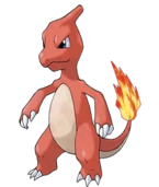 Gray | Pika-Fanon Wiki | Fandom