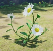 Creeping Chrysanthemum | Pikmin | Fandom