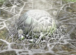 Burgeoning Spiderwort mold | Pikmin | Fandom