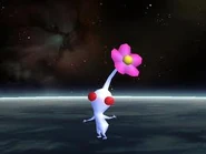 White Pikmin | Pikmin | Fandom