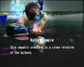 Water Dumple | Pikmin Wiki | Fandom