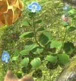 List of plants | Pikmin Wiki | Fandom