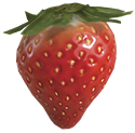 Sunseed Berry | Pikmin Wiki | Fandom