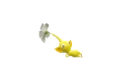 Yellow Pikmin | Pikmin | Fandom