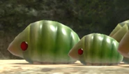 Swarming Sheargrub | Pikmin Wiki | Fandom