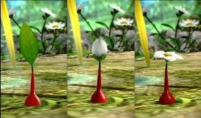 Pikmin Stages | Pikmin Wiki | Fandom