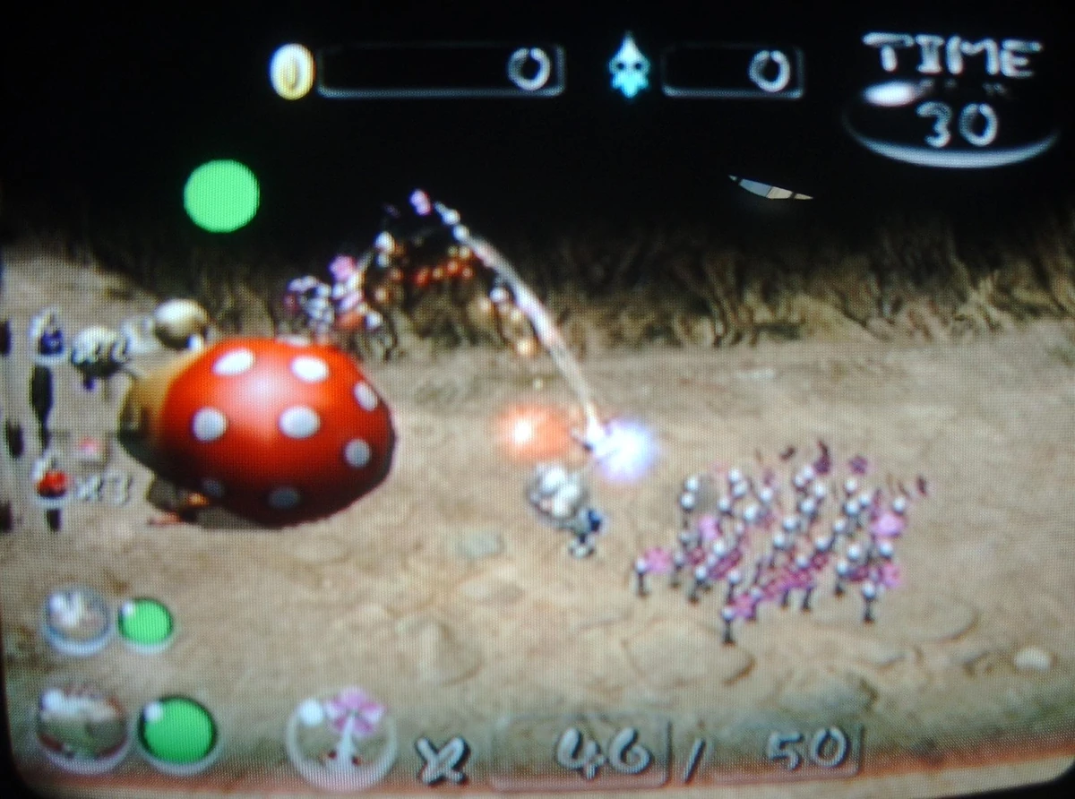 Collector's Room | Pikmin Wiki | Fandom