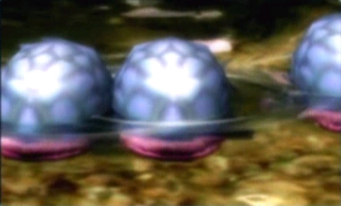 Water Dumple/Gallery | Pikmin Wiki | Fandom