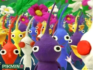 Pikmin family/Gallery | Pikmin Wiki | Fandom