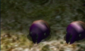 Male Sheargrub | Pikmin Wiki | Fandom