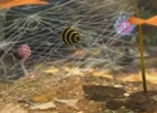 Arachnode | Pikmin Wiki | Fandom
