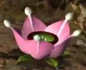 List of plants | Pikmin Wiki | Fandom