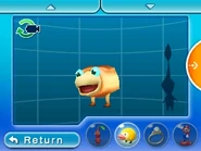 Crumbug | Pikmin Wiki | Fandom