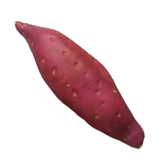 Daughter of the Earth | Pikmin Wiki | Fandom
