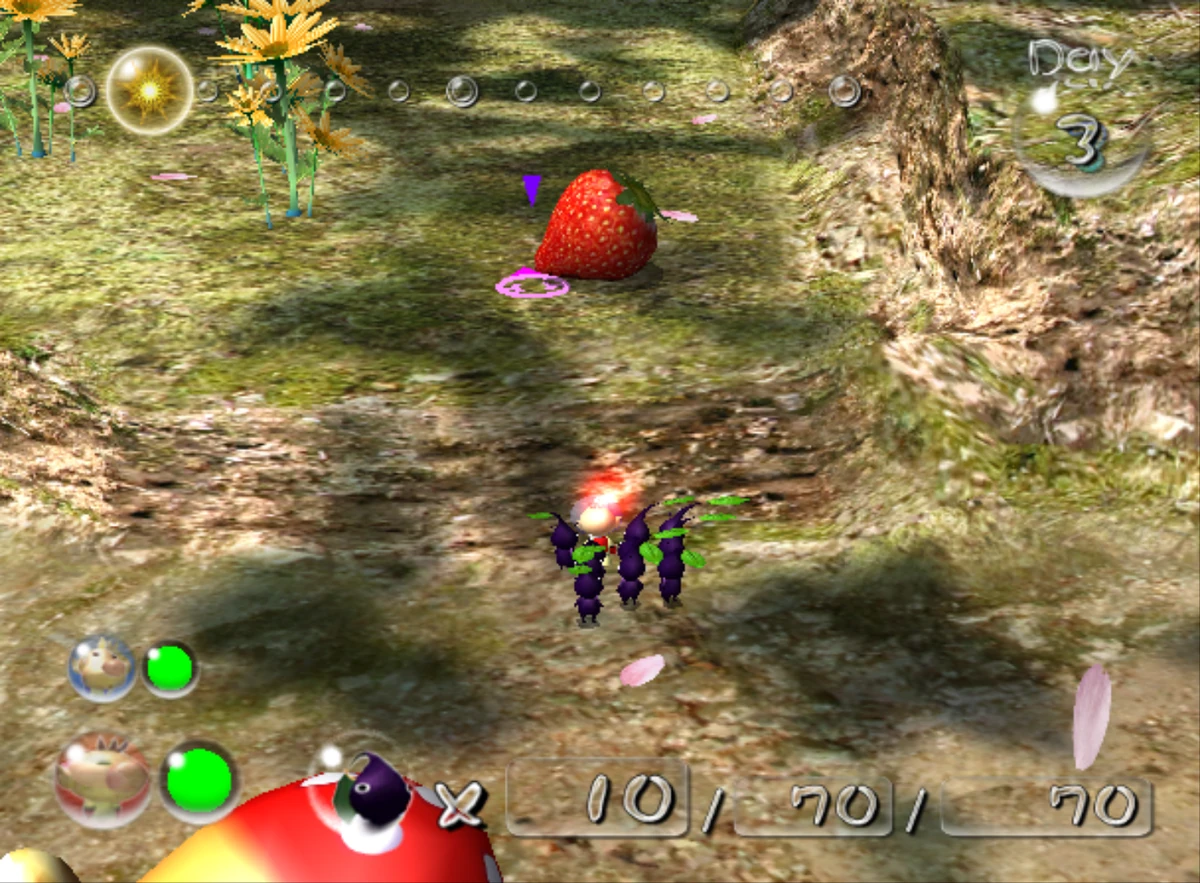 Sunseed Berry/Gallery | Pikmin Wiki | Fandom