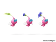 Pikmin family | Pikmin | Fandom
