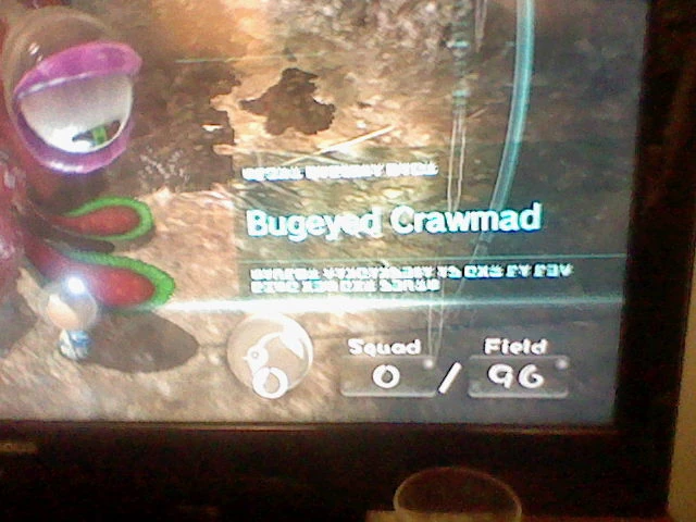 Talk:Bug-Eyed Crawmad | Pikmin Wiki | Fandom