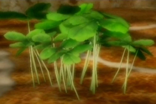 Clover | Pikmin Wiki | Fandom
