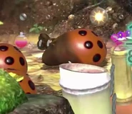Bulborb | Pikmin | Fandom