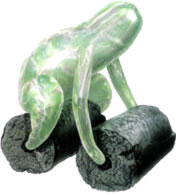 Waterwraith | Pikmin | Fandom