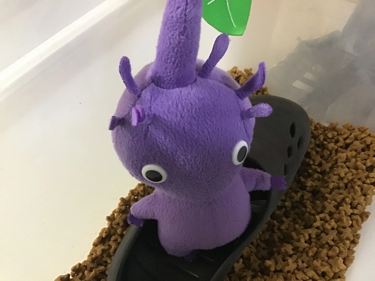 Clone Purple | Pikminbro Wiki | Fandom