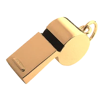 Bronze Whistle | Pikcanon-NOT | Fandom