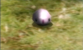 Female Sheargrub | Pikcanon-NOT | Fandom