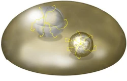 Electro Goolix | Pikcanon-NOT | Fandom